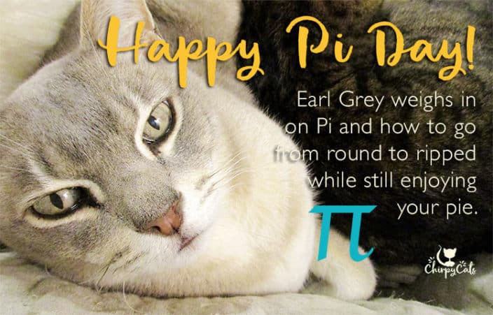 So it's Pi day - A Cat Weighs In