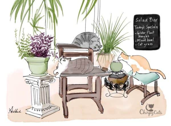 How to Prepare the Perfect Kitty Salad Bar