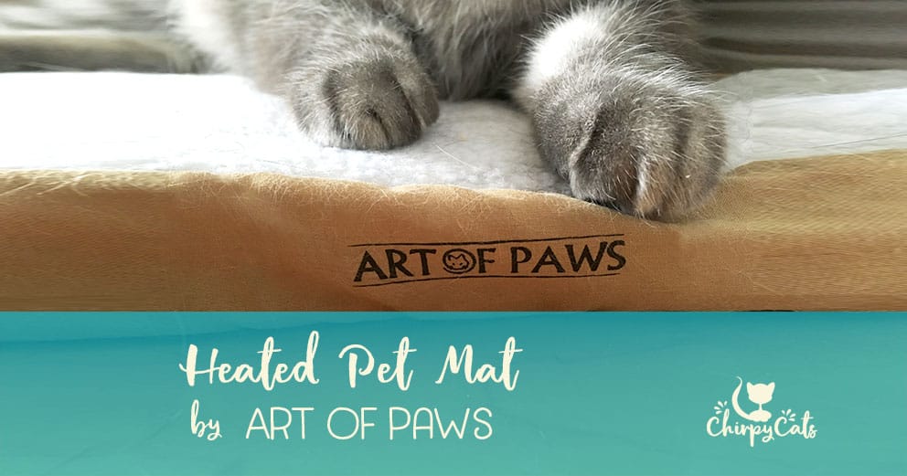Why your cats would want an Art of Paws heated mat