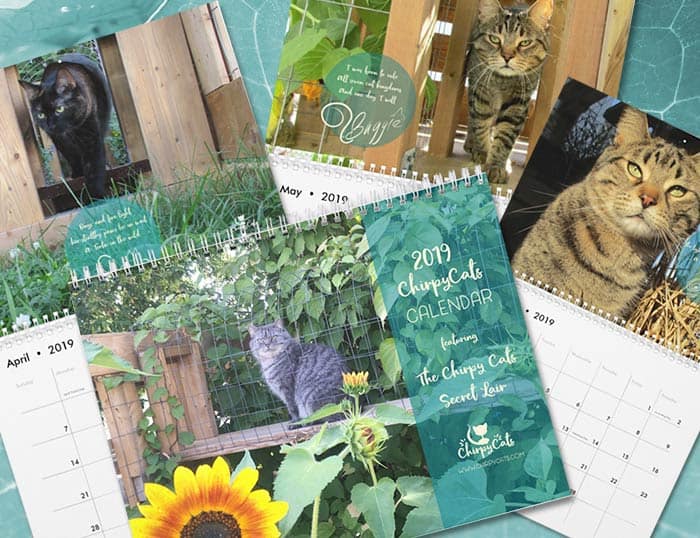 Our Chirpy Cats 2019 "Secret Lair" Calendar is here!