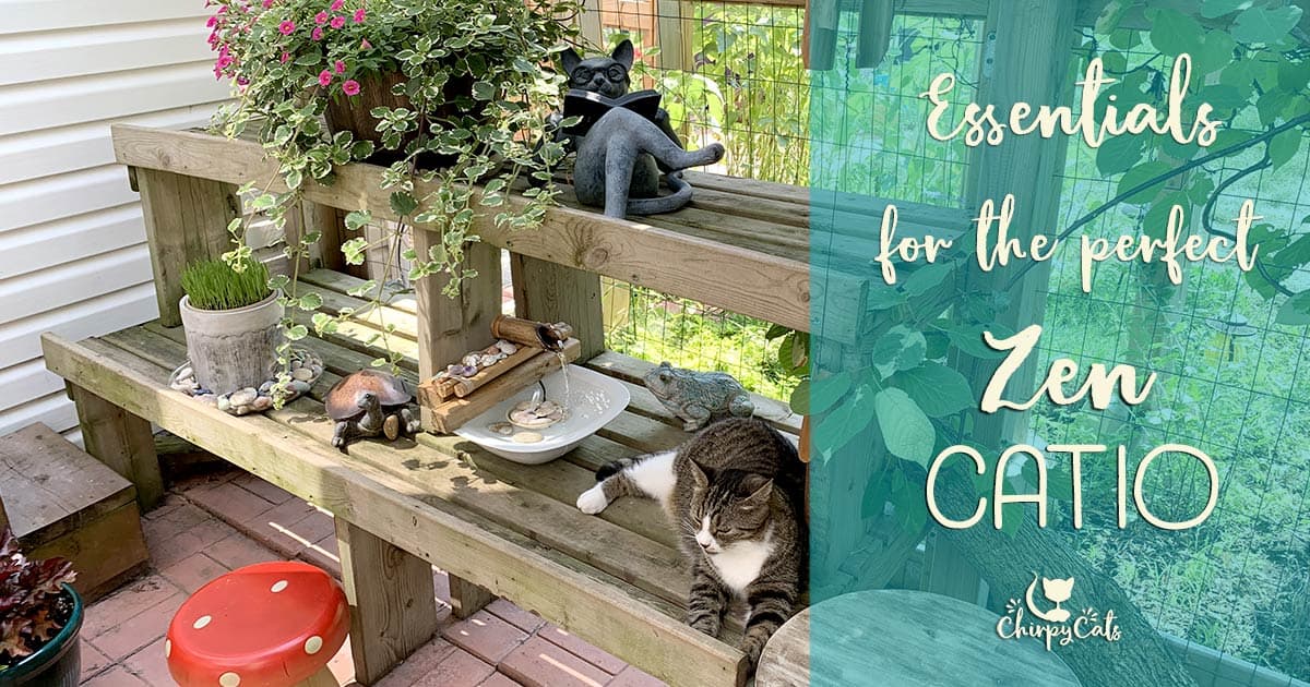 9 Awesome ways to bring your catio to life with these catio accessories